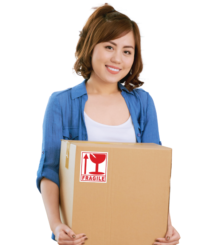 RinggitPlus Search Page